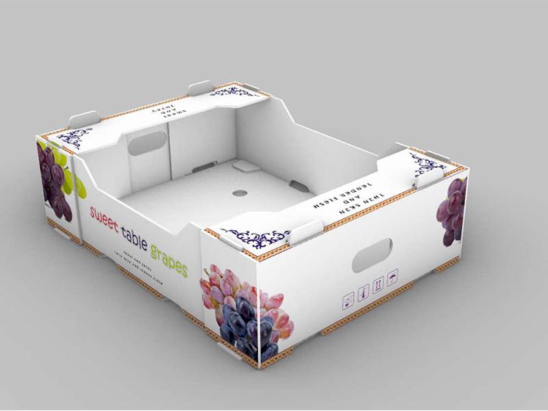 CGS Industrial Co., Ltd